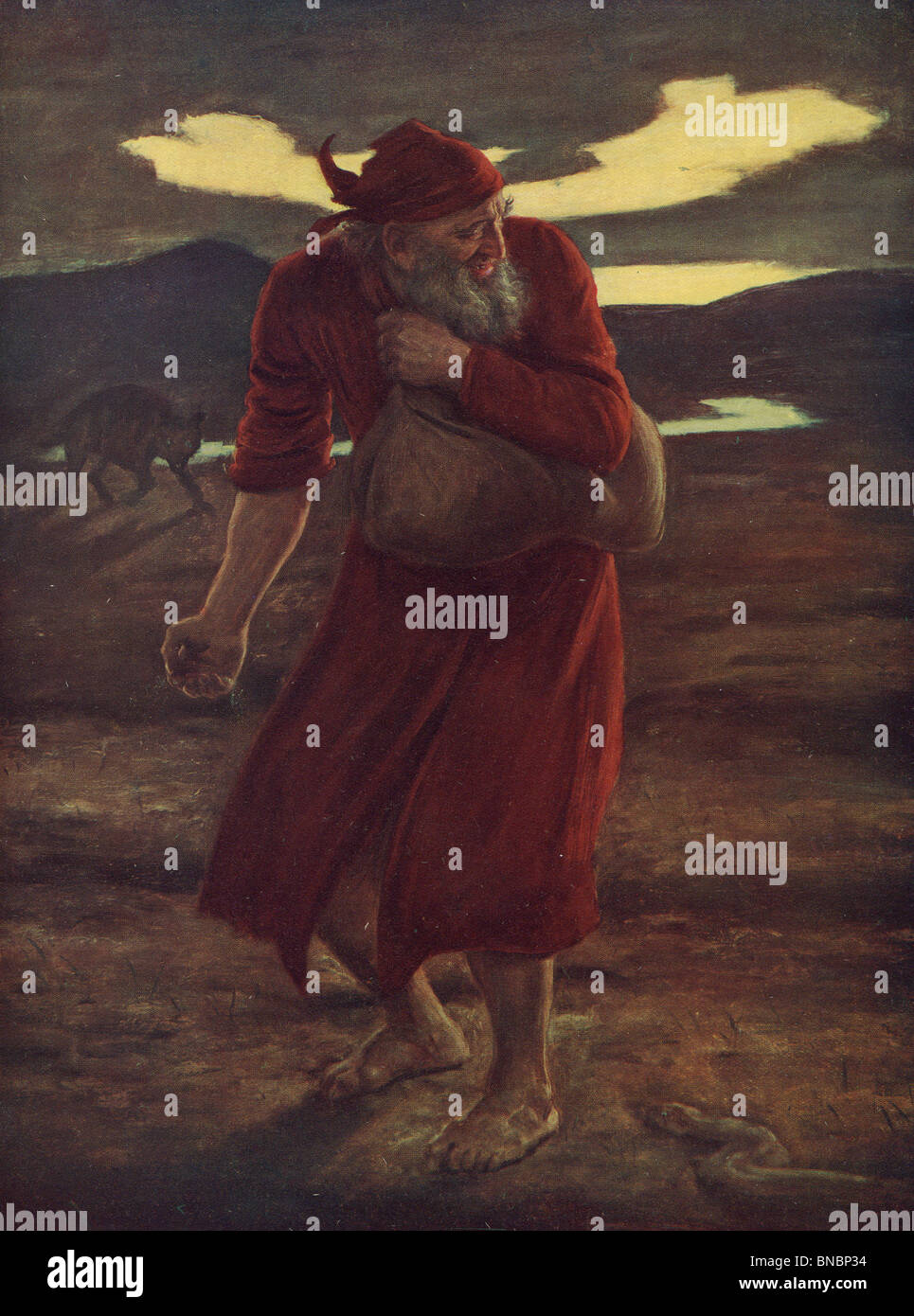 Tares hi-res stock photography and images - Alamy