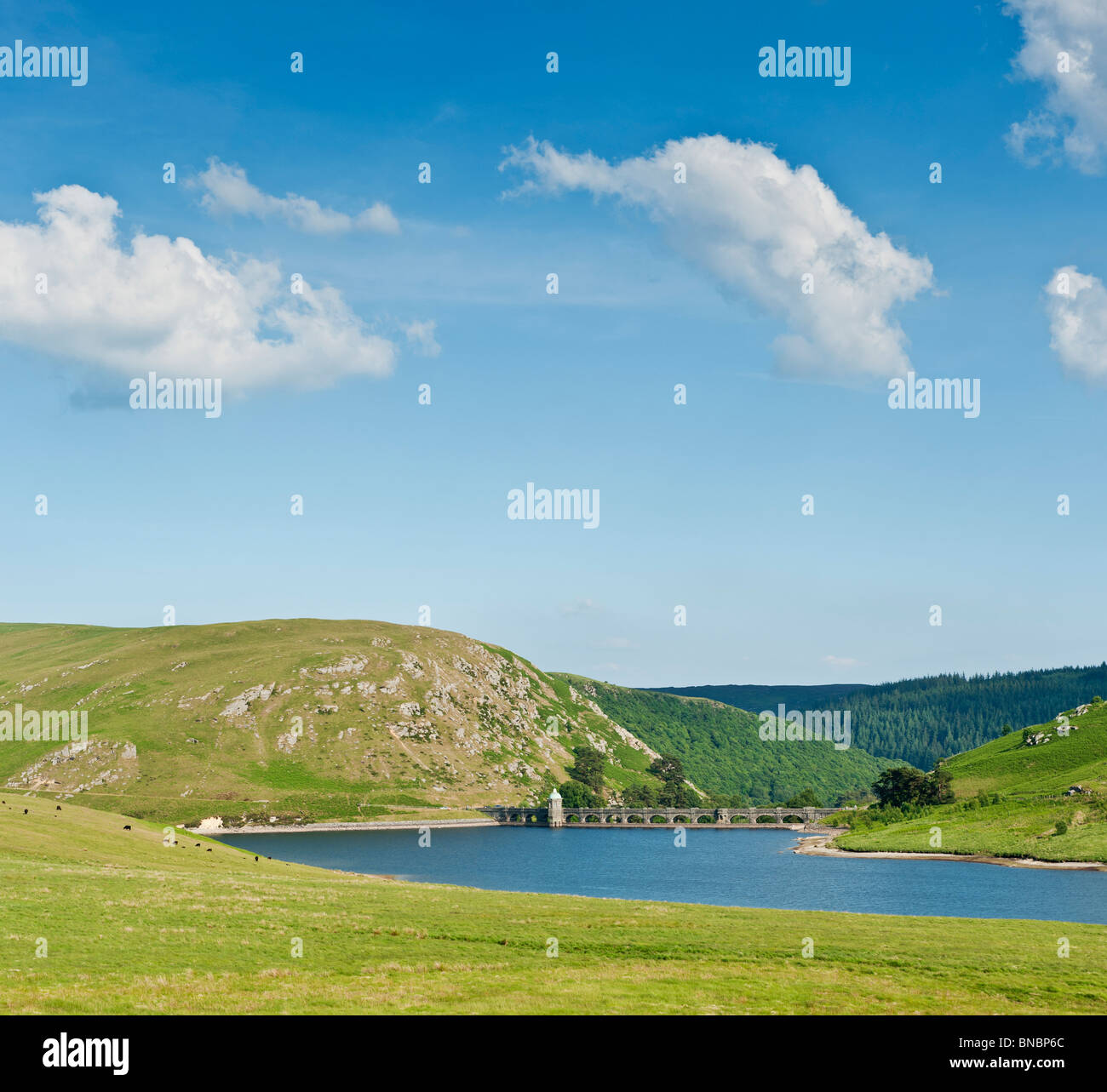 Craig Goch reservoir, Elan Valley, Powys, Wales Stock Photo - Alamy