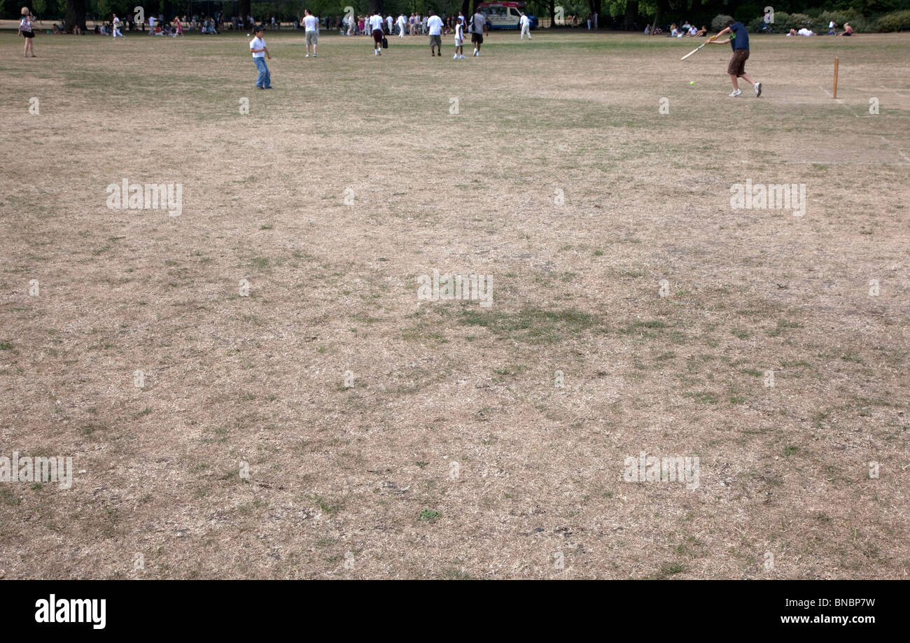 Parched grass drought hi-res stock photography and images - Alamy