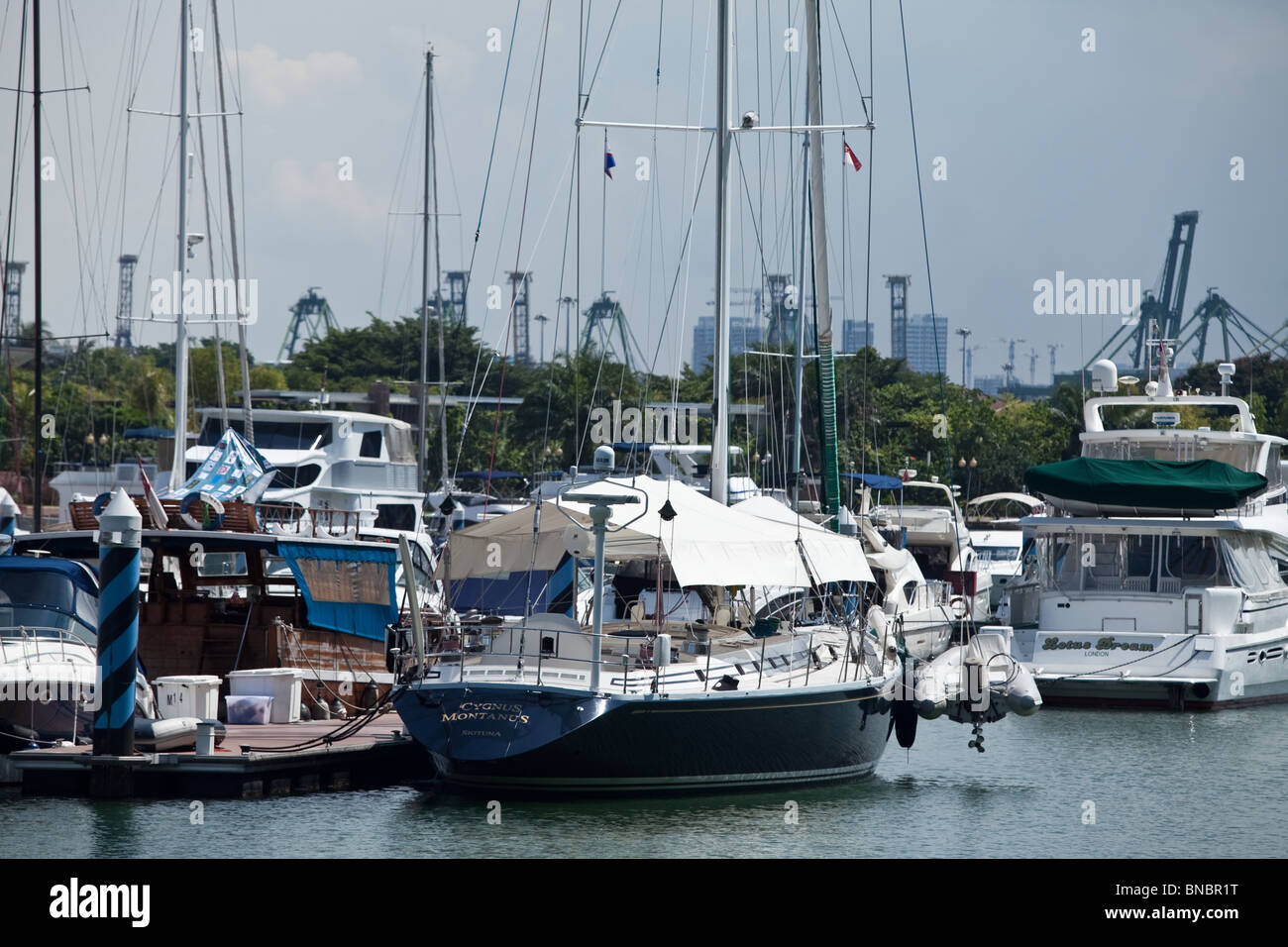 The 24m yacht, Cygnus Montanus, belonging to Carl Henric Svanberg ...