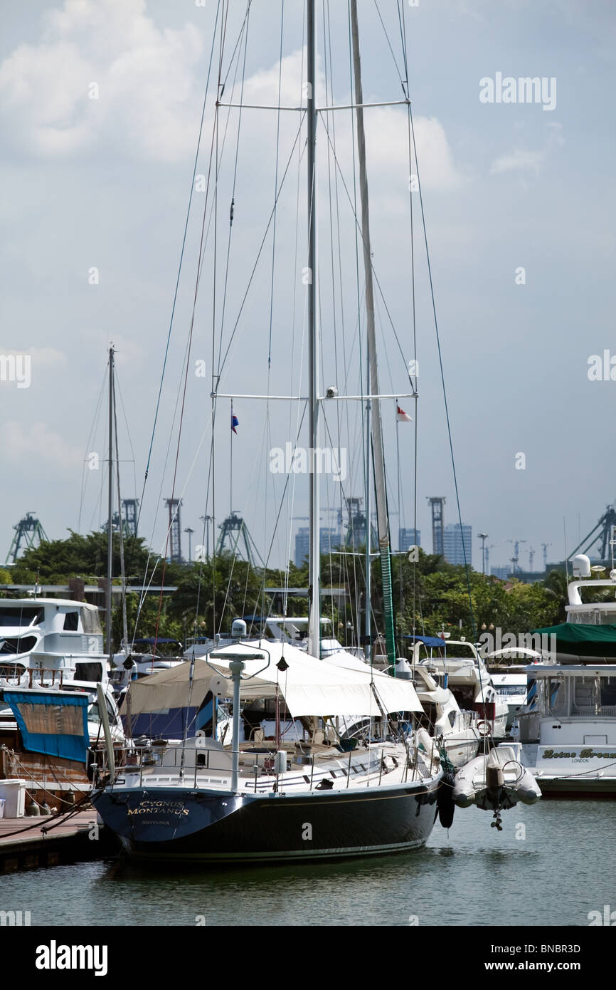 The 24m yacht, Cygnus Montanus, belonging to Carl Henric Svanberg ...