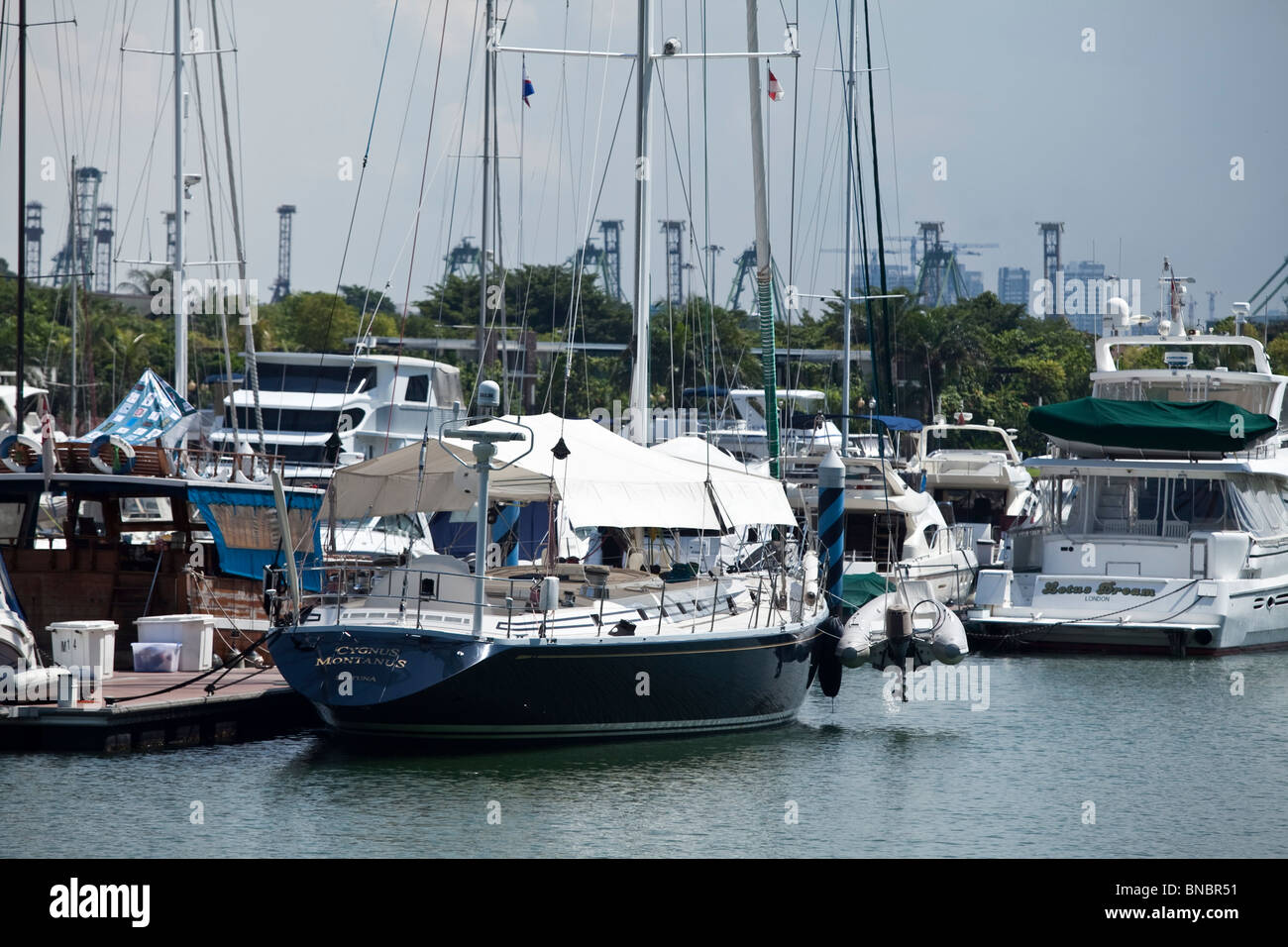 The 24m yacht, Cygnus Montanus, belonging to Carl Henric Svanberg ...