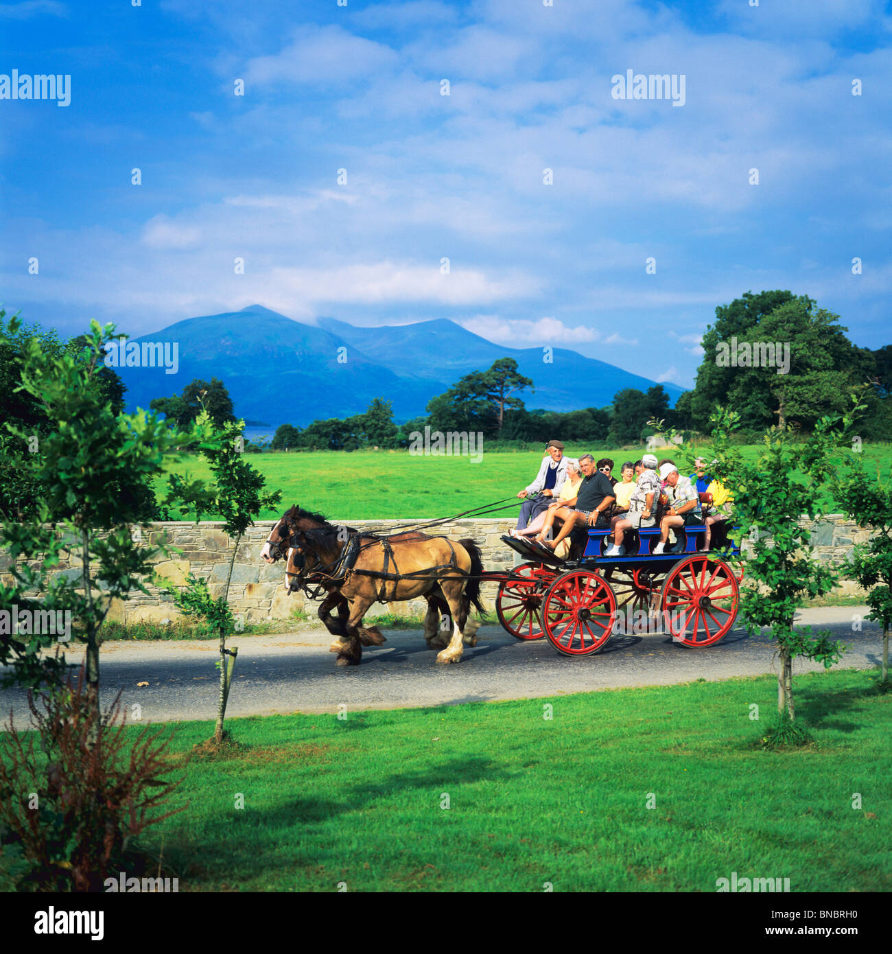 JAUNTING CART WITH TOURISTS KILLARNEY COUNTY KERRY IRELAND Stock Photo ...