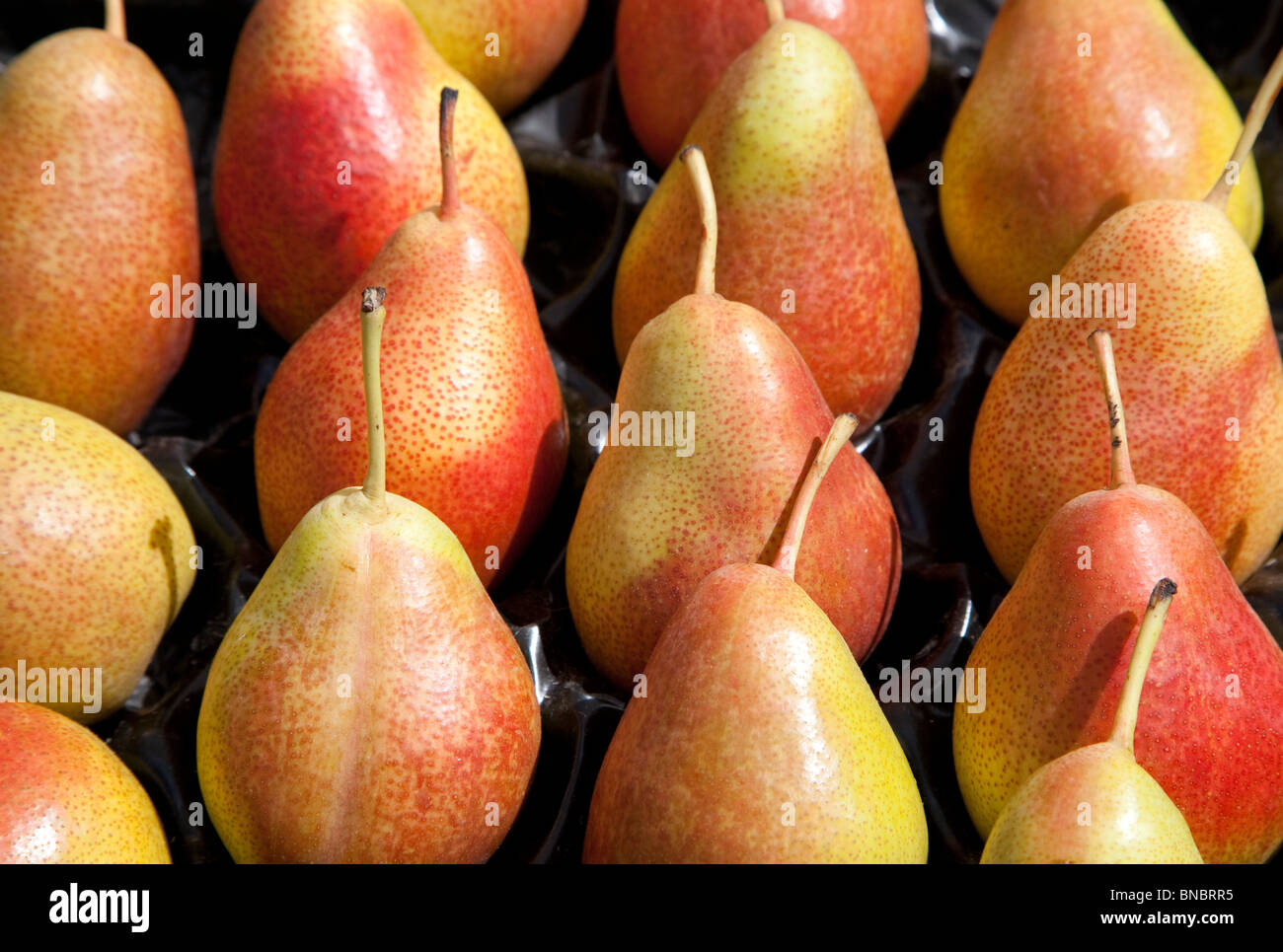 Forelle pears on sale at French festival in London Stock Photo - Alamy