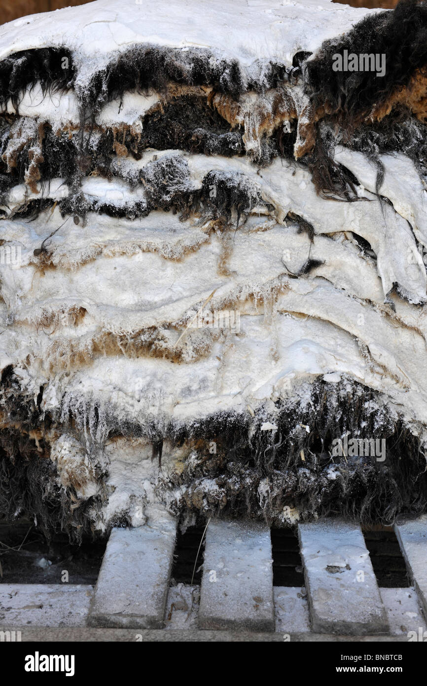 Leather curing hi-res stock photography and images - Alamy