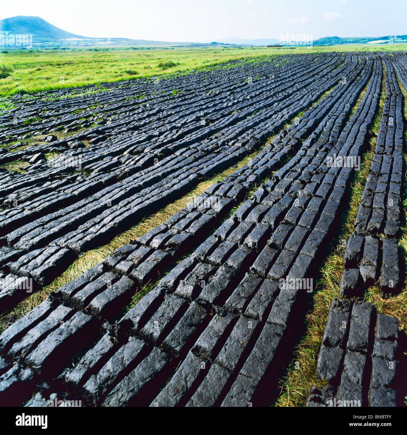 DRYING PEAT BRICKS COUNTY KERRY IRELAND Stock Photo - Alamy