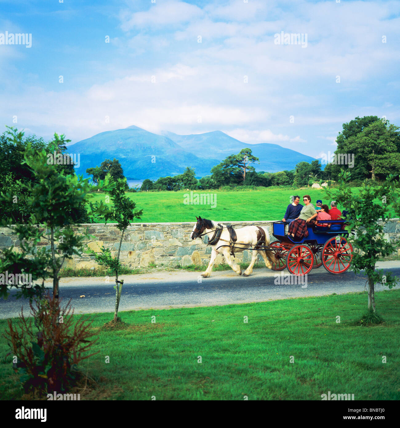 JAUNTING CART WITH TOURISTS KILLARNEY COUNTY KERRY IRELAND Stock Photo ...