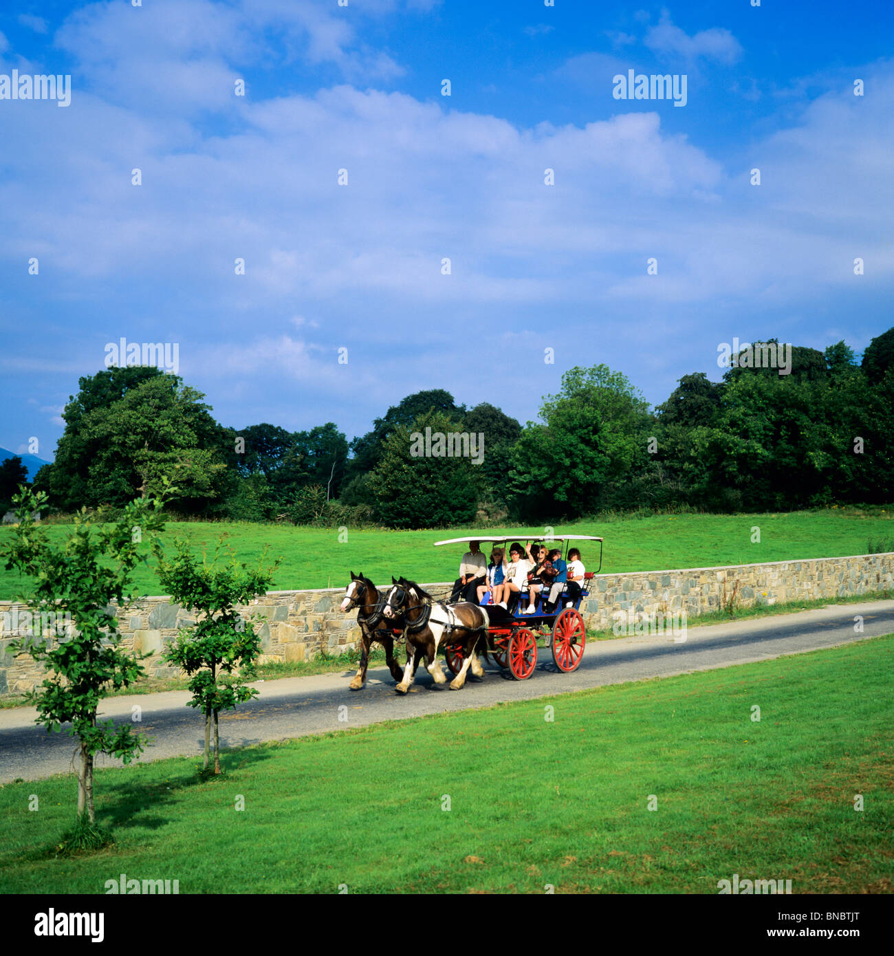 JAUNTING CART WITH TOURISTS KILLARNEY COUNTY KERRY IRELAND Stock Photo ...