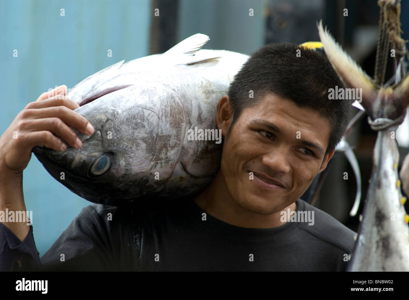 Marlin fish being hauled to market, General Santos City, Mindanao ...