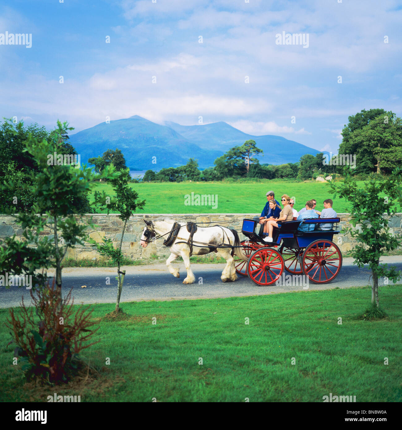 JAUNTING CART WITH TOURISTS KILLARNEY COUNTY KERRY IRELAND Stock Photo ...