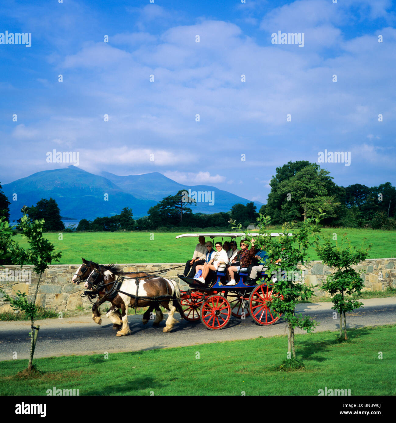 JAUNTING CART WITH TOURISTS KILLARNEY COUNTY KERRY IRELAND Stock Photo ...