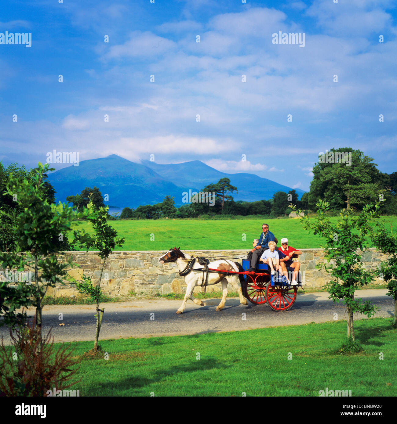 Irish Horse Carts High Resolution Stock Photography and Images - Alamy