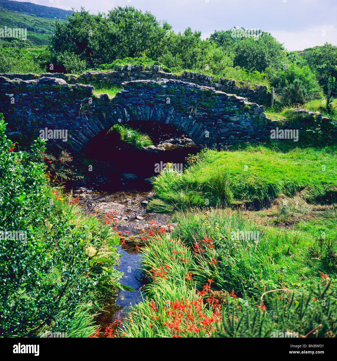 Irish Brooks High Resolution Stock Photography and Images - Alamy