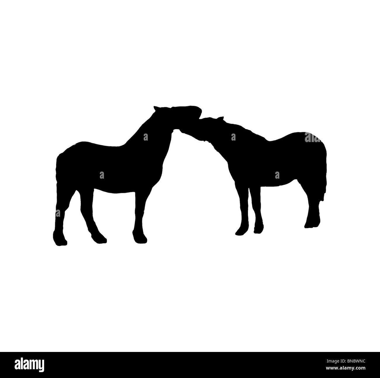 Horse and friend Cut Out Stock Images & Pictures - Alamy