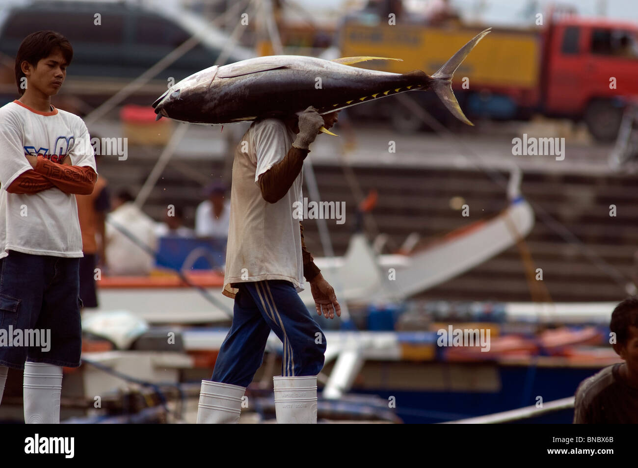 Yellowfin tuna fish market general santos city hi-res stock photography ...
