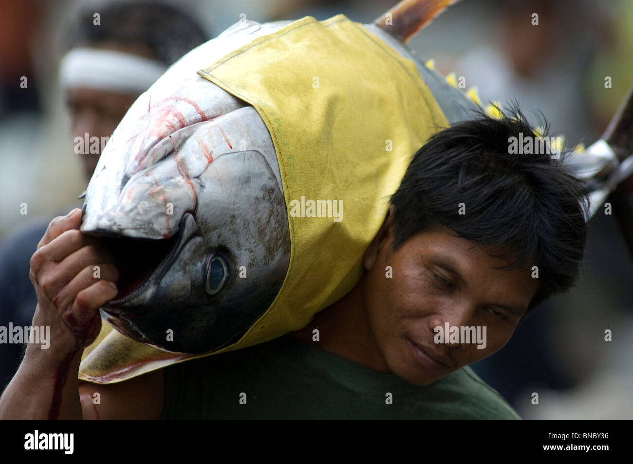 Tuna fish being hauled to market, General Santos City, Mindanao ...