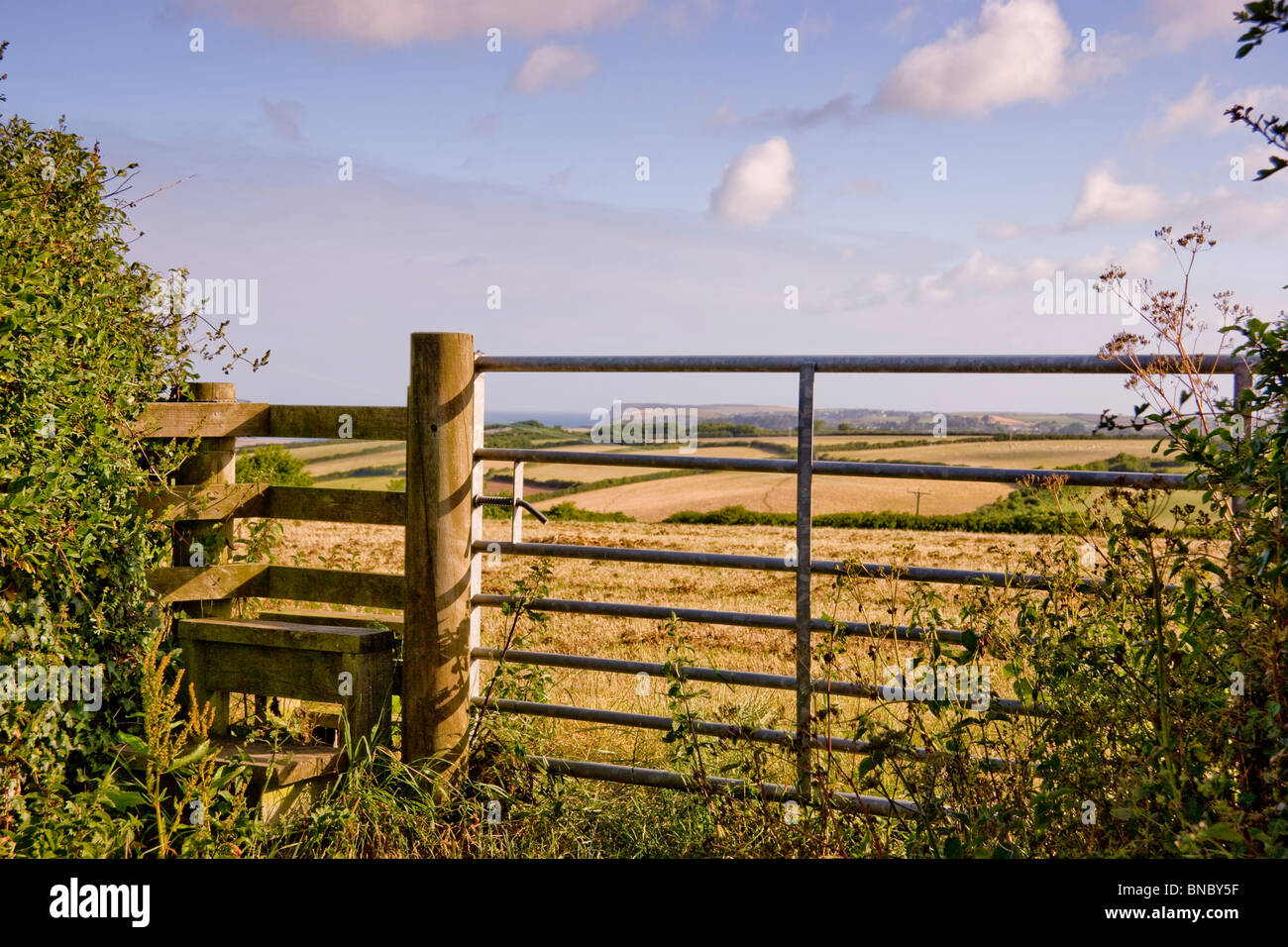 Farm gate and wooden footpath stile, St Issey, Cornwall, England Stock ...