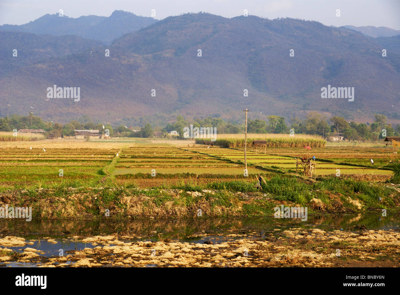 Myanmar, Shan state, Inle lake Stock Photo - Alamy