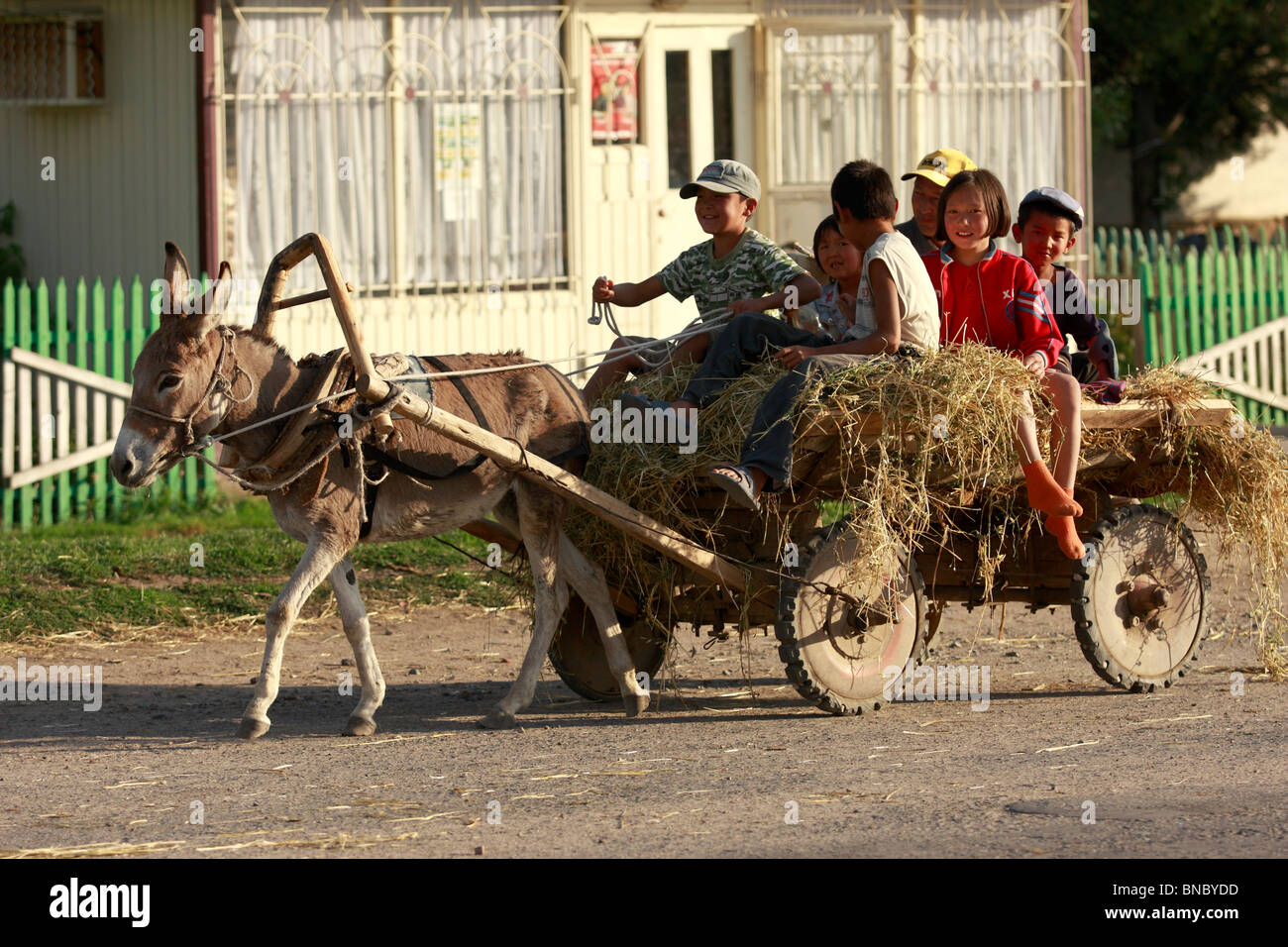 Donkey Cart Hay High Resolution Stock Photography and Images - Alamy