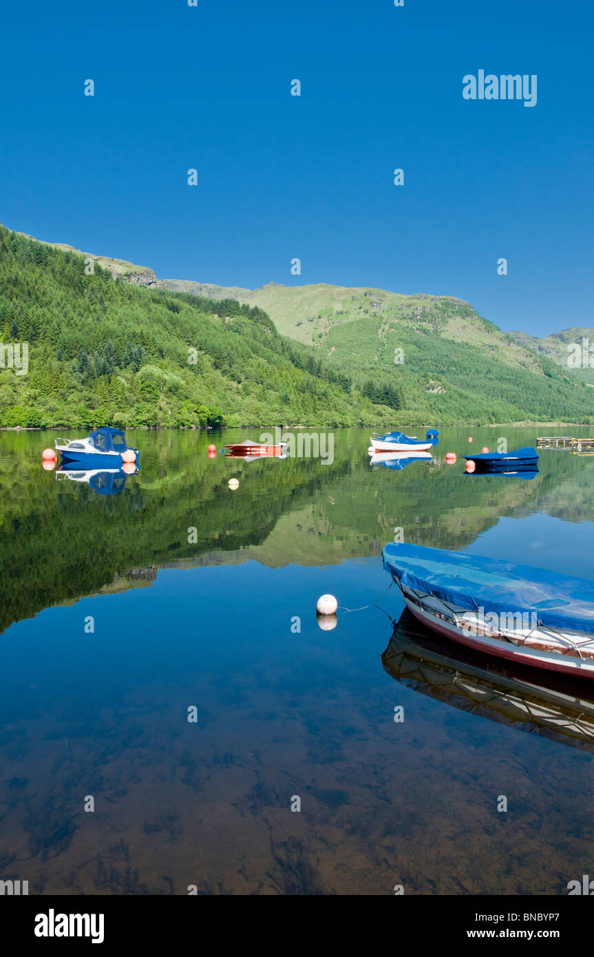 Cowal hi-res stock photography and images - Alamy