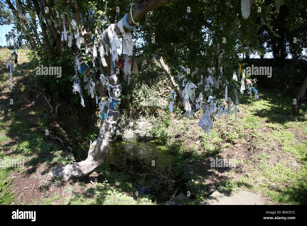 rags hanging on tree above cranfield point st olcans holy well county ...