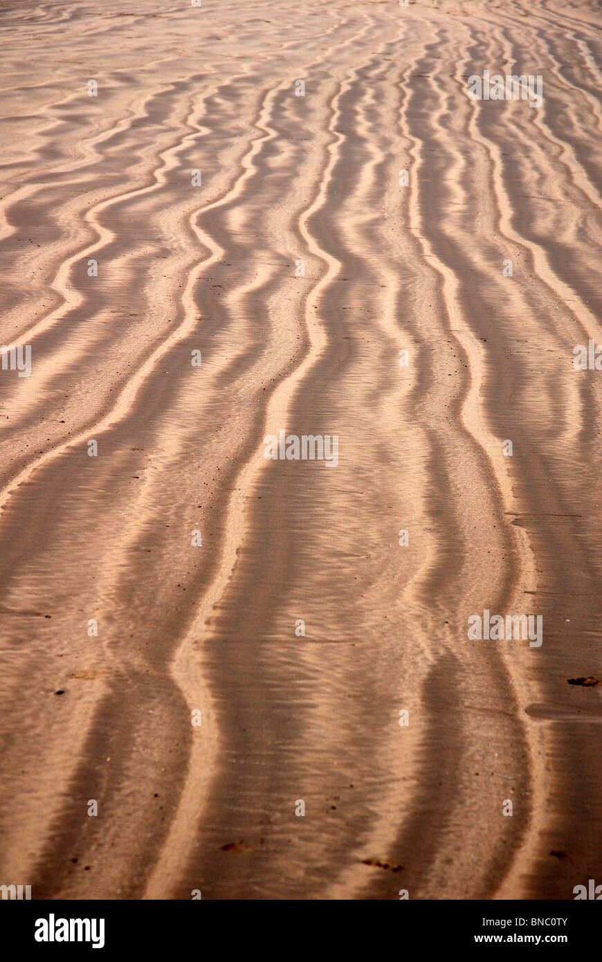 Sand patterns on beach in North Devon Stock Photo - Alamy