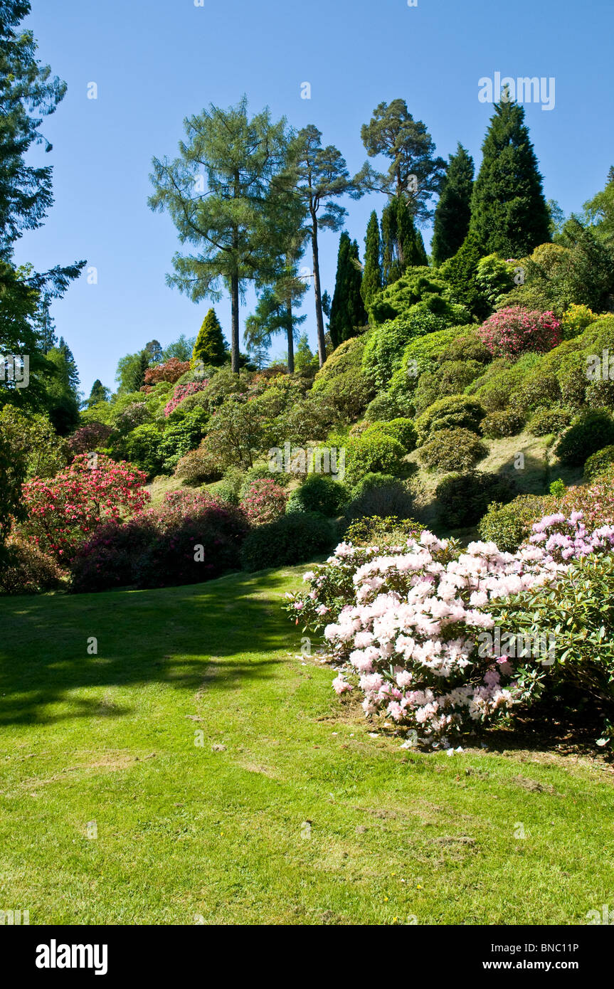 Benmore botanic garden hi-res stock photography and images - Alamy
