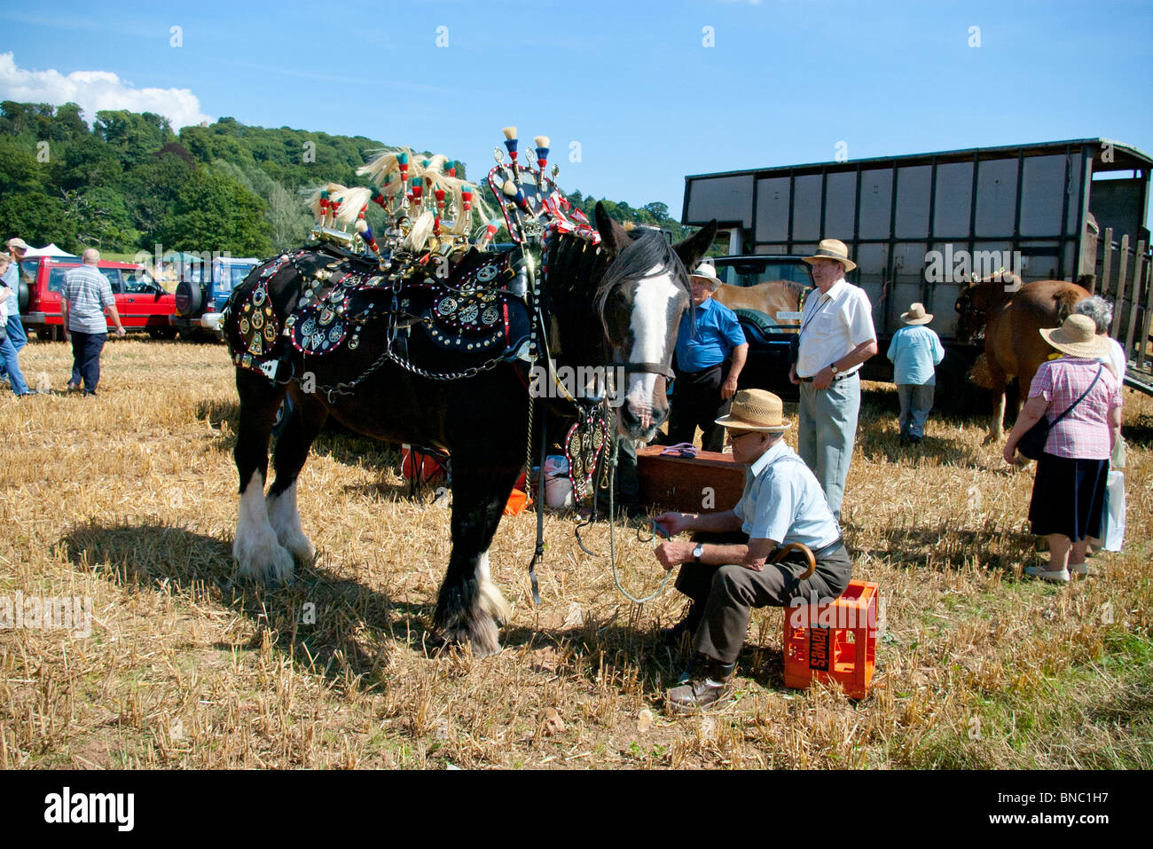 Heavy Horses at Powderham Stock Photo - Alamy