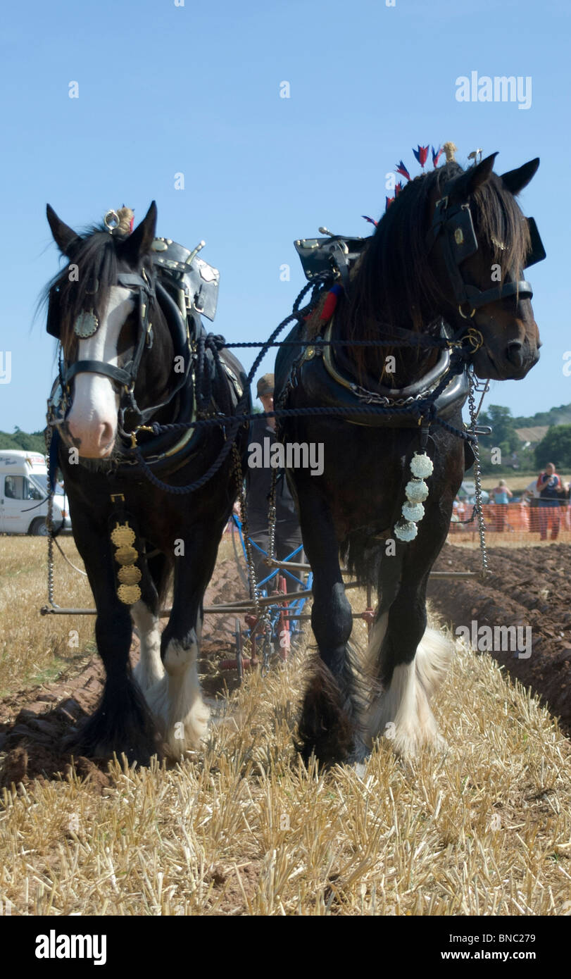 English farming, work hi-res stock photography and images - Alamy