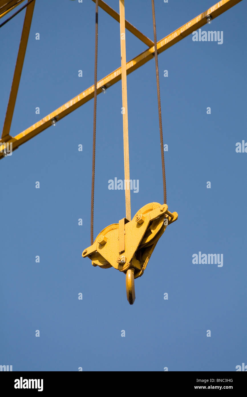 Yellow Crane close up shot for background Stock Photo - Alamy