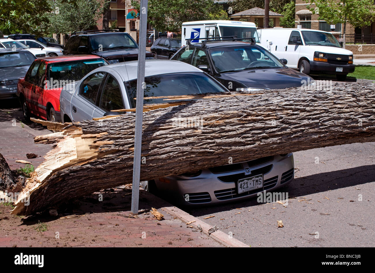 Fallen car hi-res stock photography and images - Alamy