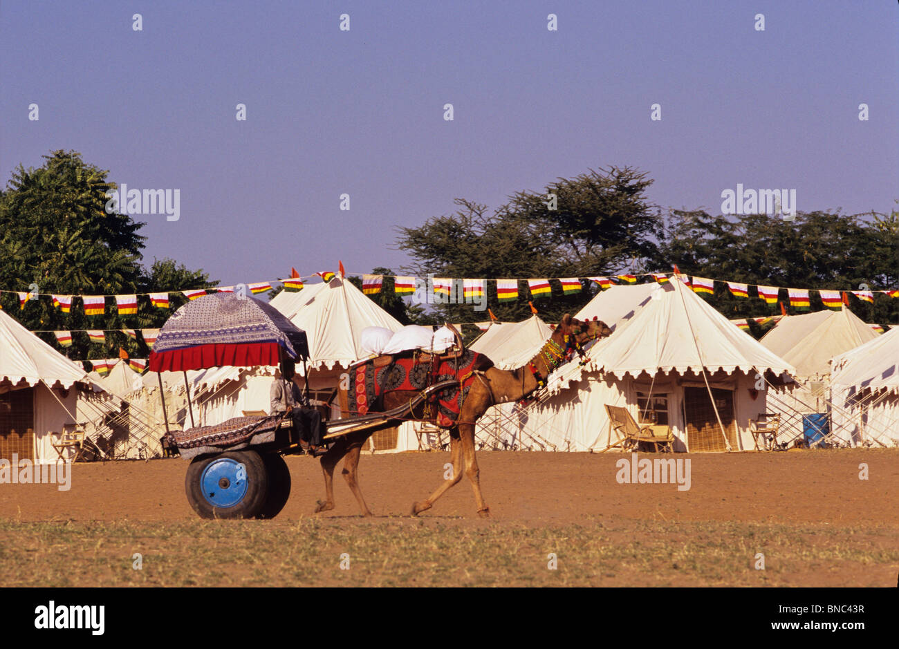 Tent camp with camel cart Pushkar Camel Fair Rajasthan India Stock ...