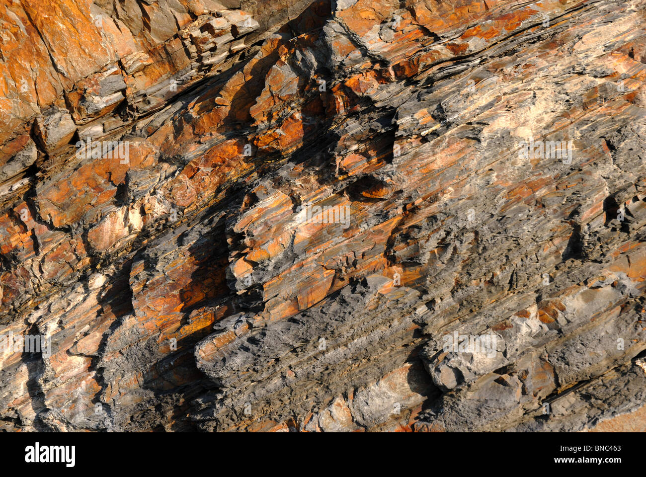 Close up of bands of yellow brown rock formation on Devon beach Stock ...