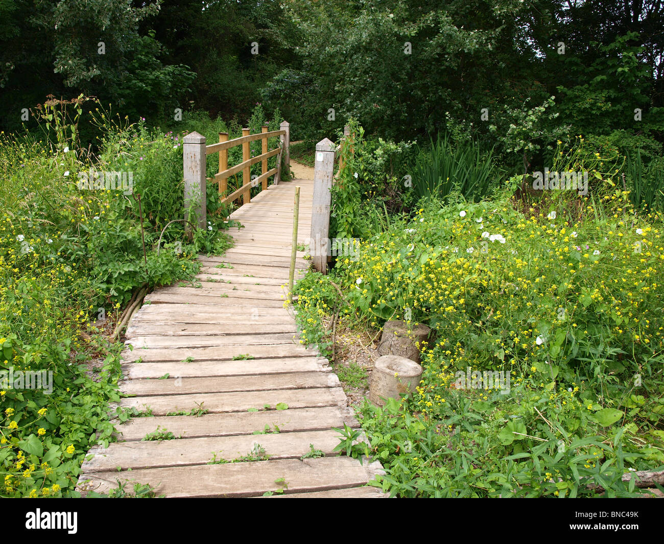 Path wooden hi-res stock photography and images - Alamy