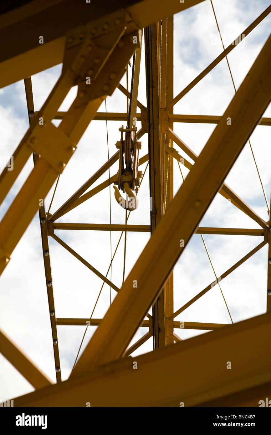 Yellow Crane close up shot for background Stock Photo - Alamy