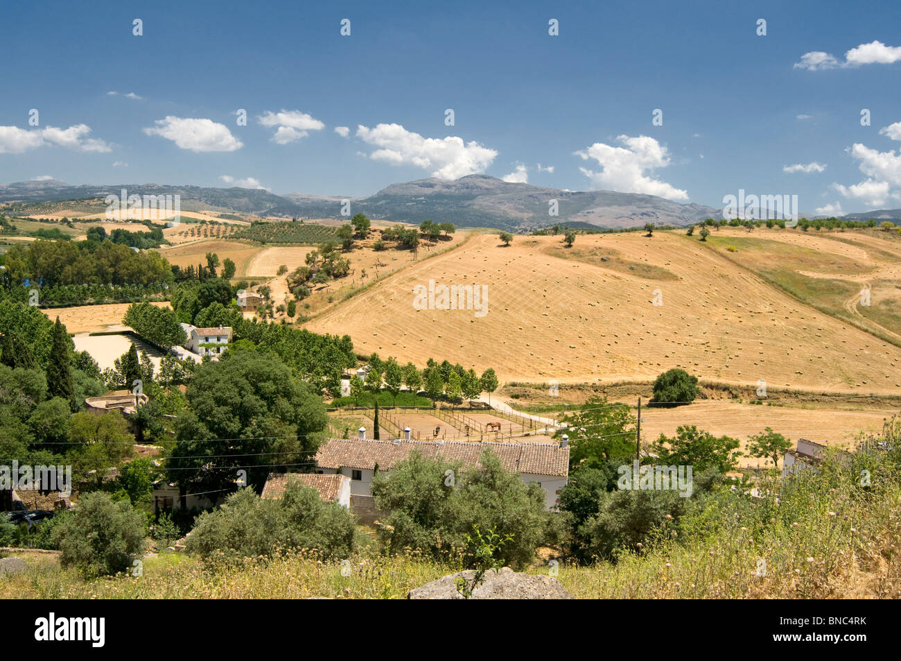 The beautiful countryside around the city of Ronda, Andalusia, Spain ...