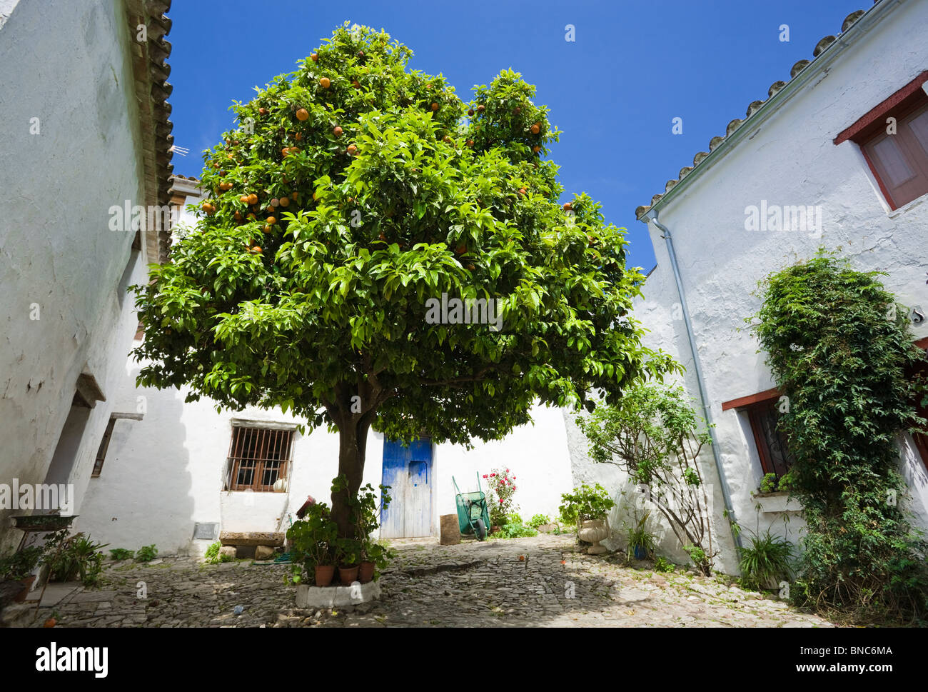 Well preserved features hi-res stock photography and images - Alamy