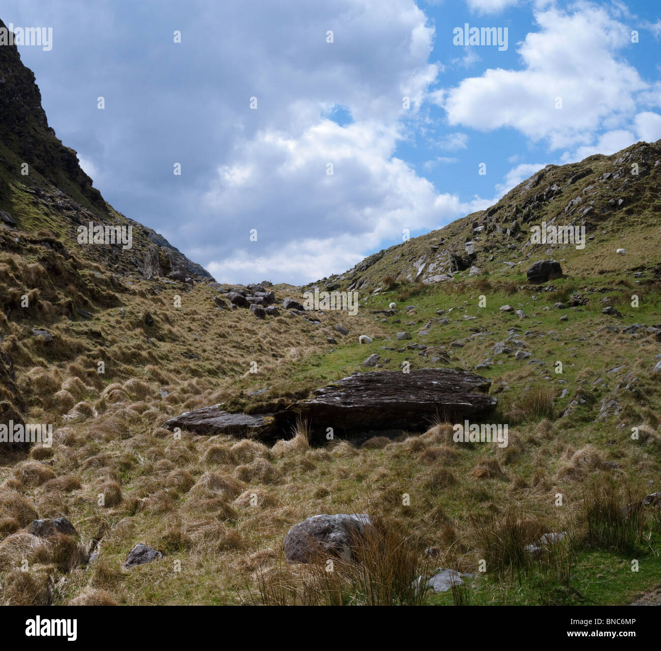 a rocky slope in Macgillycuddy's Reeks Stock Photo - Alamy