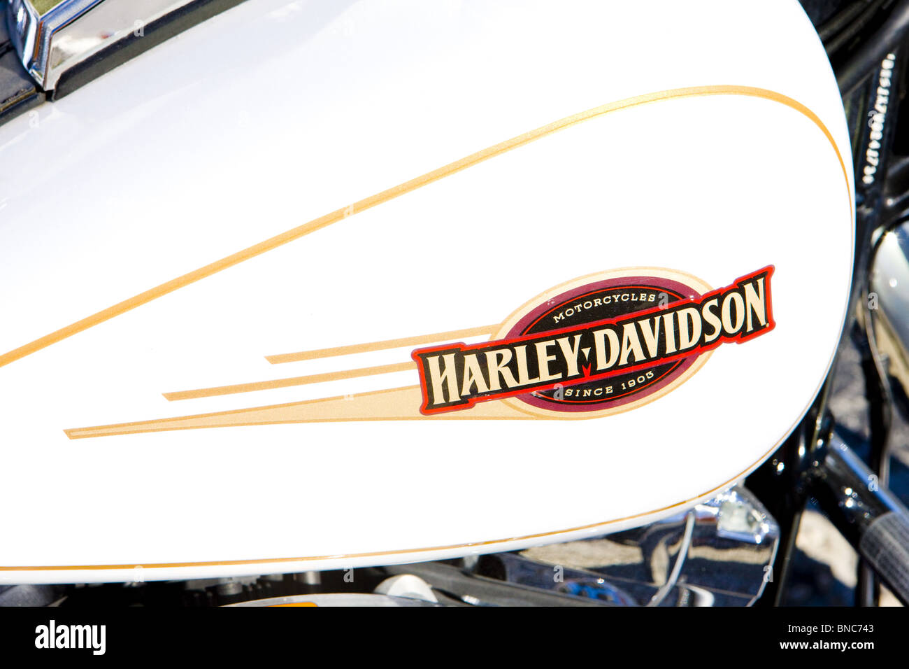 Harley Florida High Resolution Stock Photography and Images - Alamy