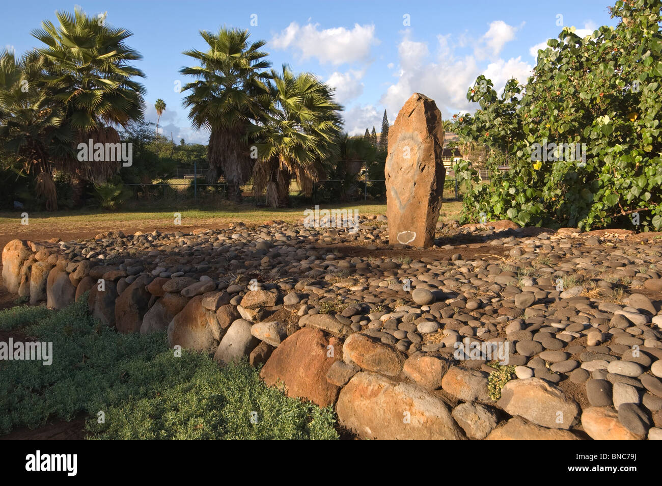 Elk284-4211 Hawaii, Maui, Lahaina, Moku'ula "sacred island" Heiau Stock ...