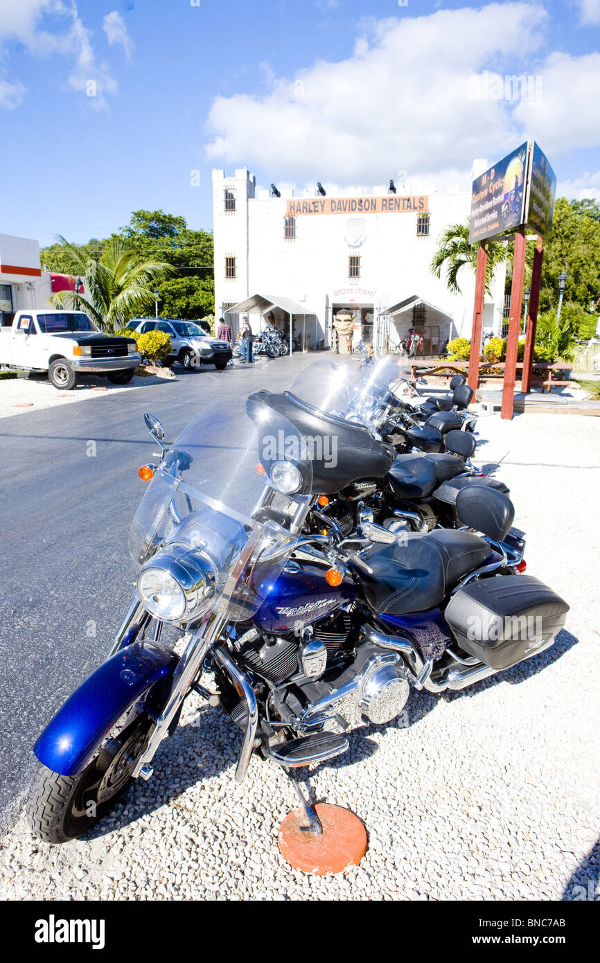 motorcycles Harley - Davidson, Florida, USA Stock Photo - Alamy