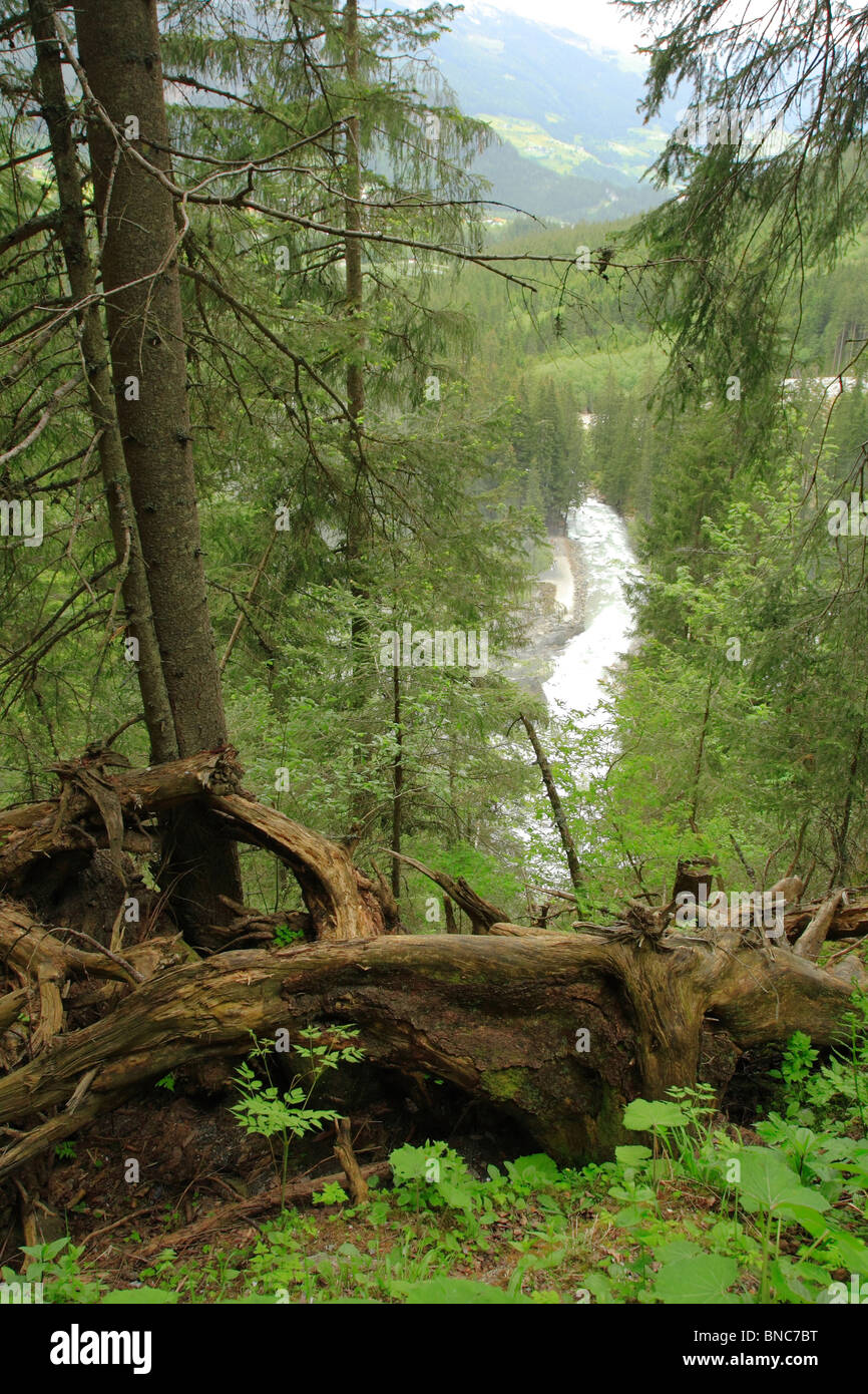 Forest and valley with waterfalls Stock Photo - Alamy