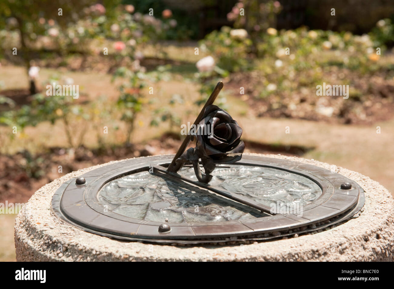 Rose sundial in rose garden in Cockington village country park Stock ...