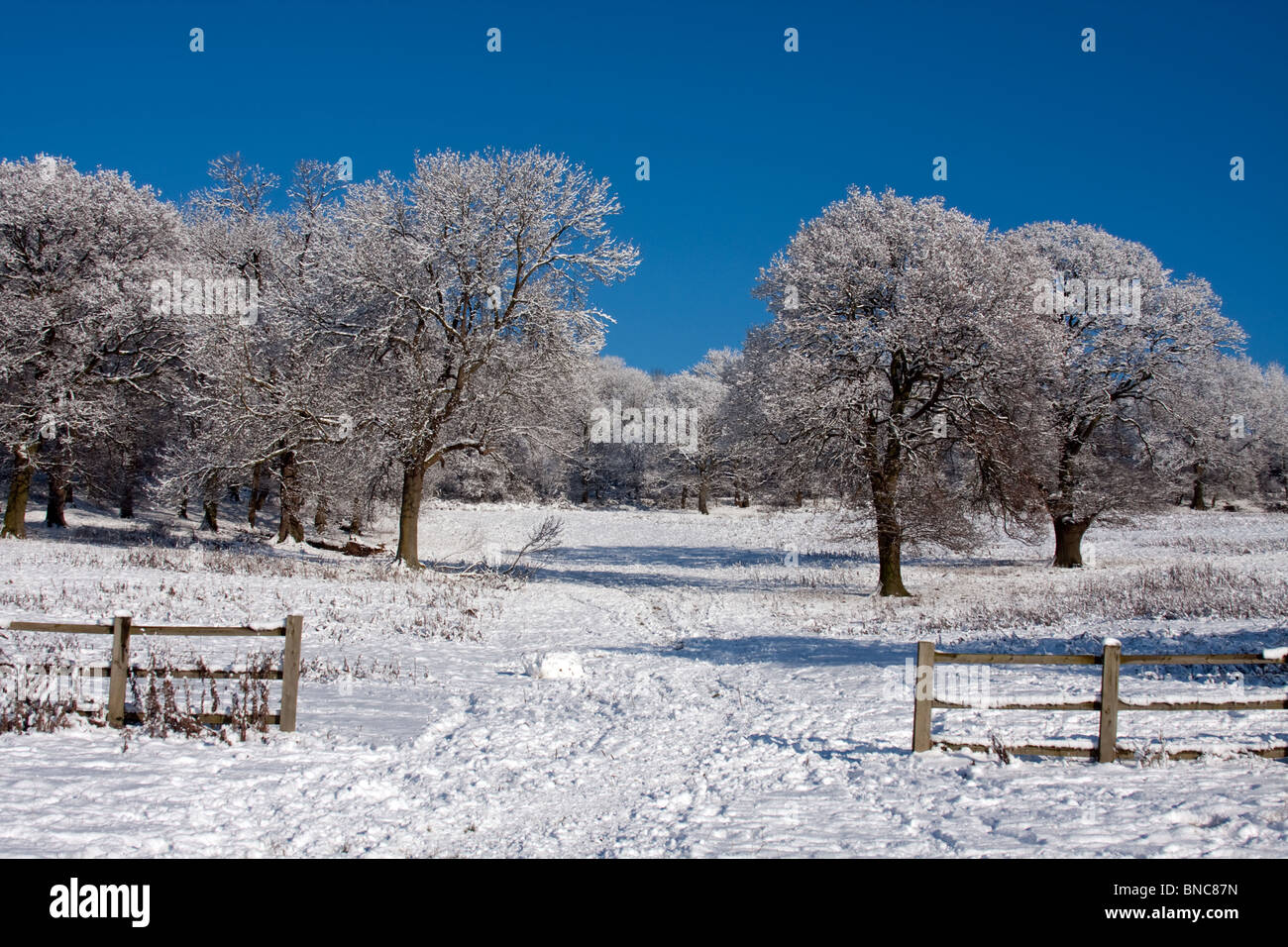 The chosen hi-res stock photography and images - Alamy