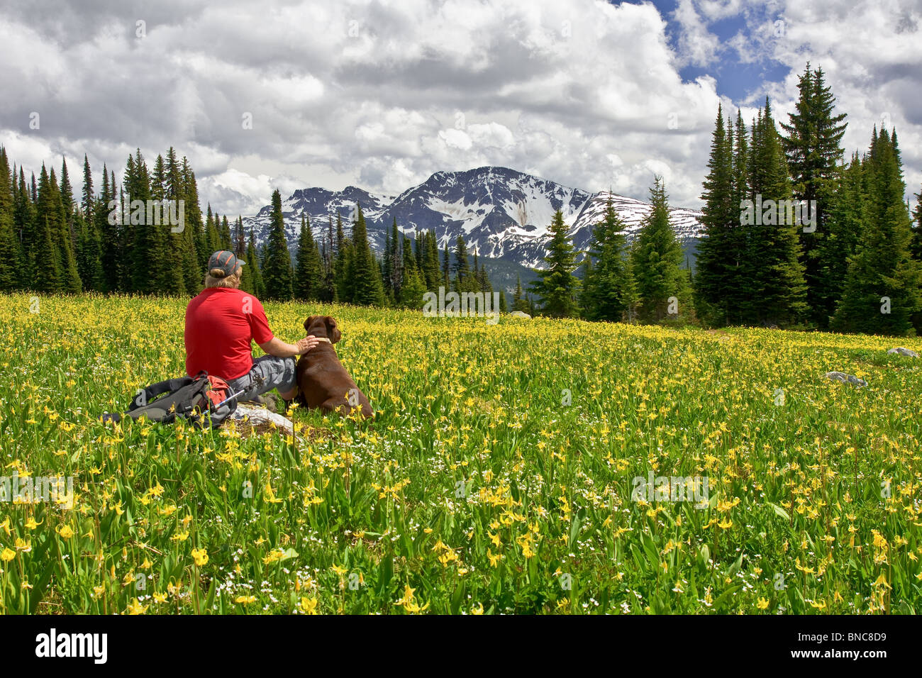 A male backpacker and his dog relax in a flowery wilderness meadow ...