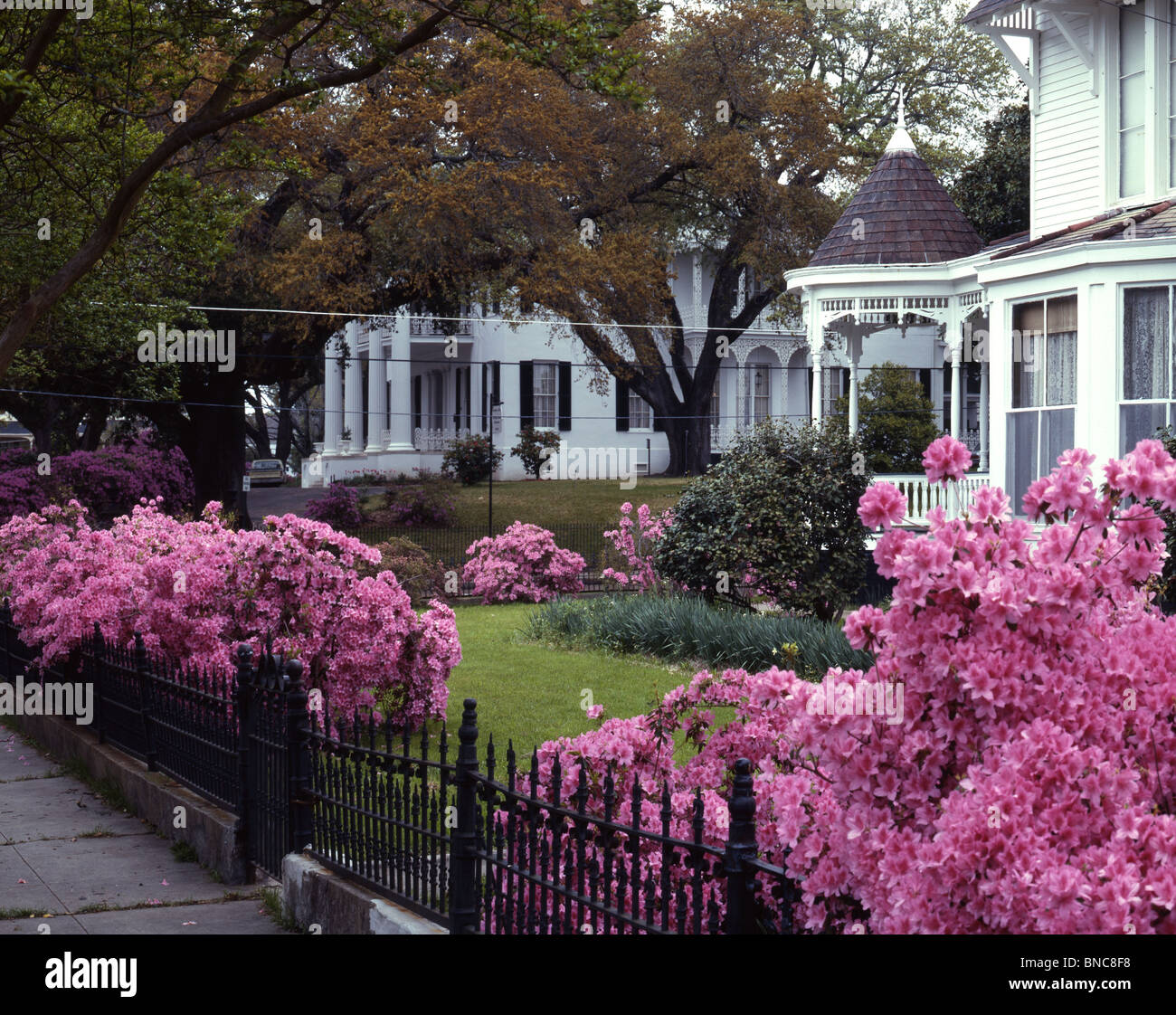 Azaleas mansion hi-res stock photography and images - Alamy