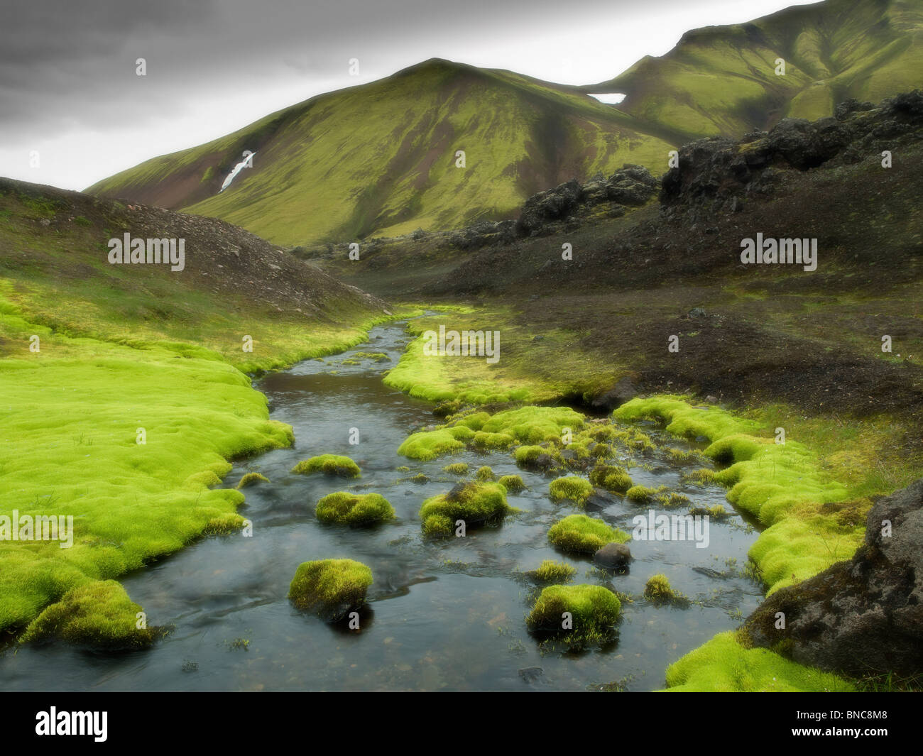 Spring flowing through moss covered lava bed, Iceland Stock Photo - Alamy