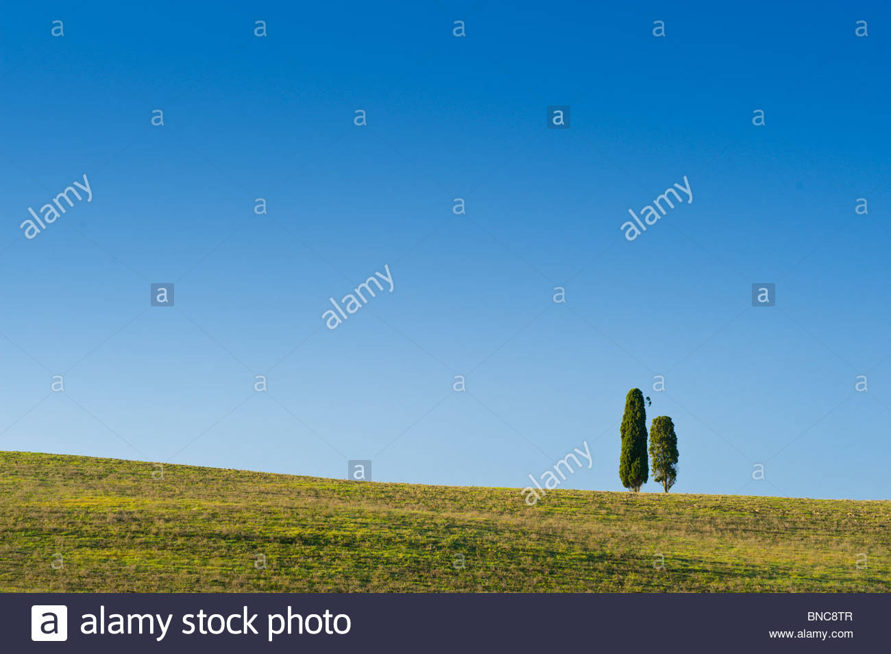 Italian Countryside Stock Photos & Italian Countryside Stock Images - Alamy