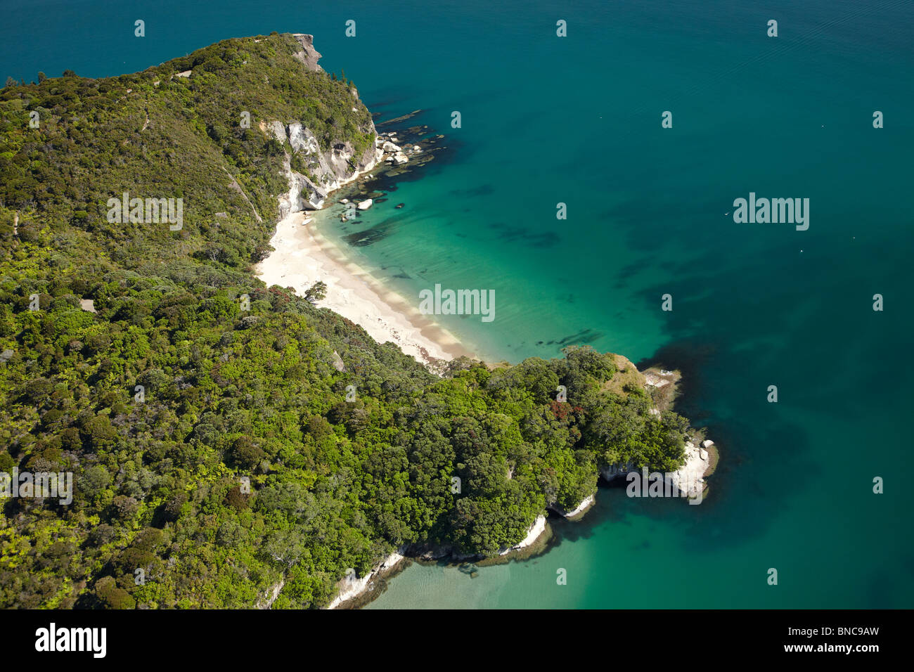 Lonely Bay and Shakespeare Cliff, Coromandel Peninsula, North Island ...