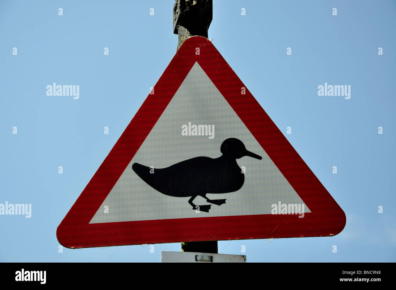 Duck traffic sign, St. Michael's Street, St.Albans, Hertfordshire ...